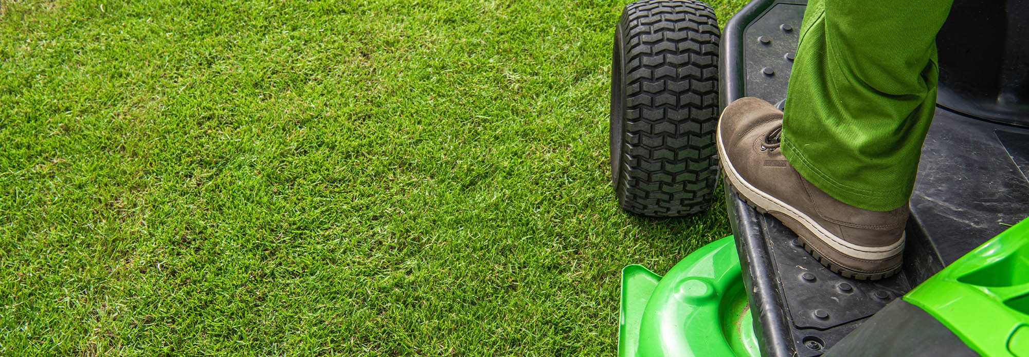 Fulbat - Feel the Power!